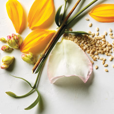 A•Glo Spa & Salon - Janesville, WI